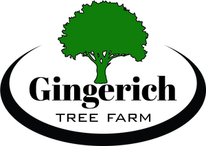 Eastern Outdoors Company